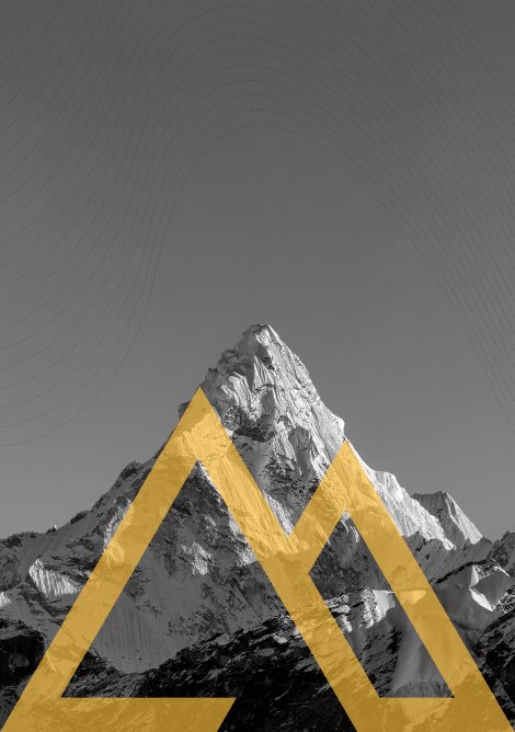 Home - Principal - Everest Digital